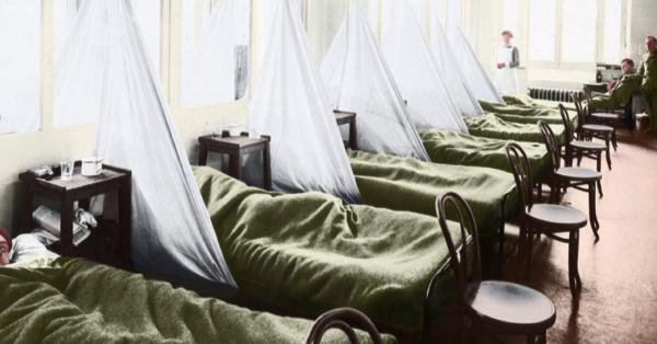 100 years: Knowledge of the Spanish flu enhances our preparedness for ...